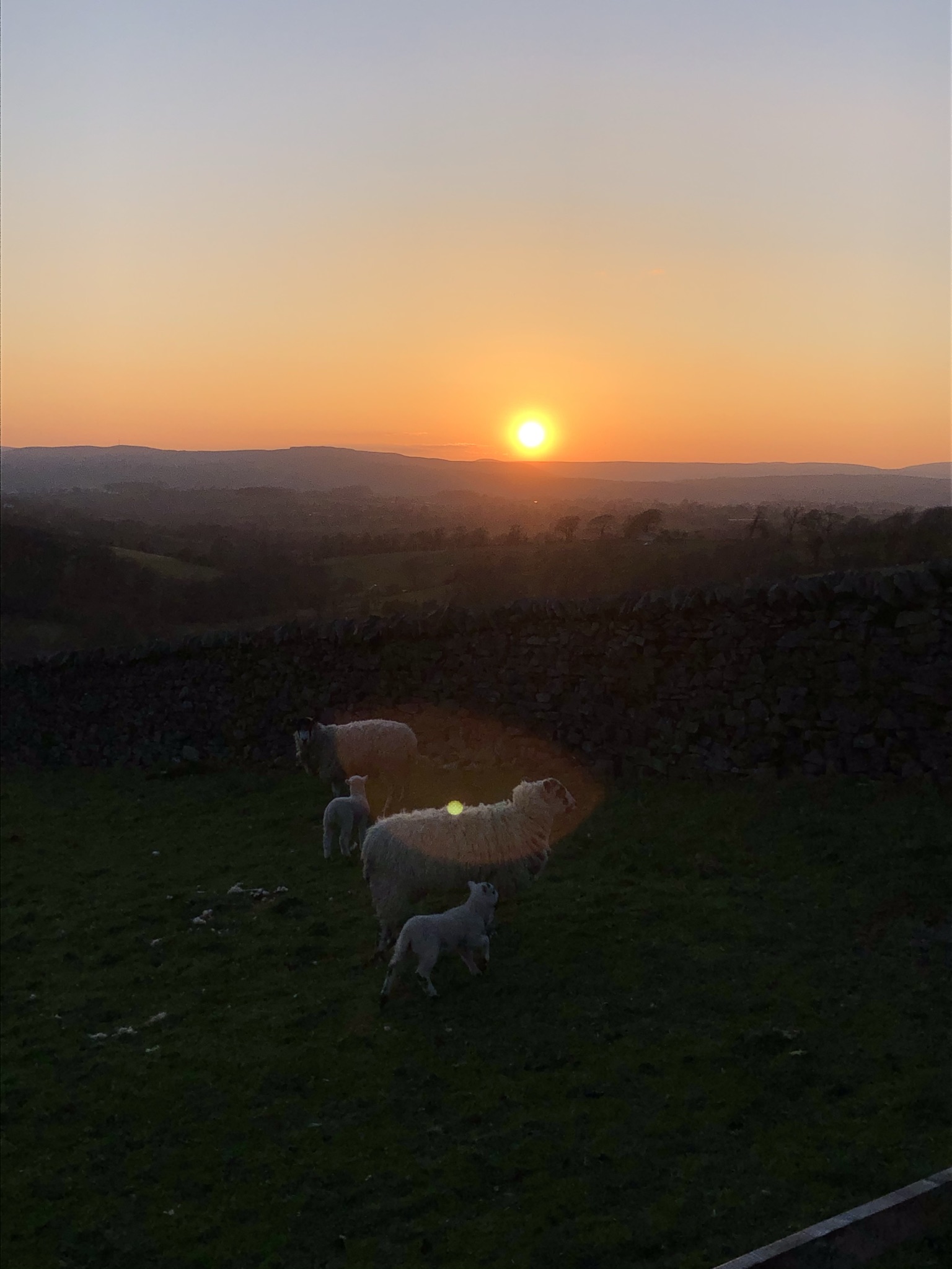 Little Middop Farm – Pear Glamping Pod - Little Middop Farm